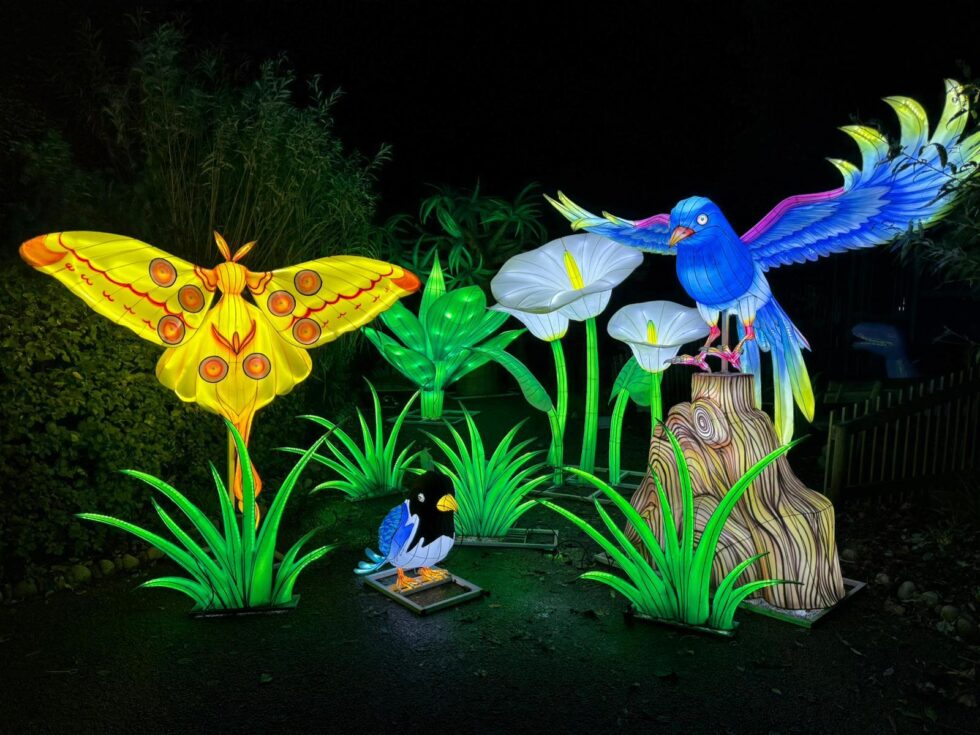 Land of Lights Milton Keynes - Lantern Festival at Gulliver’s